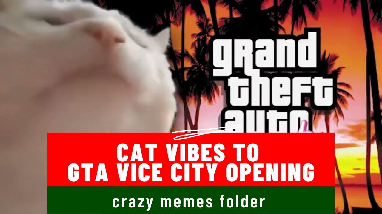 cat vibing to GTA Vice City opening - YouTube