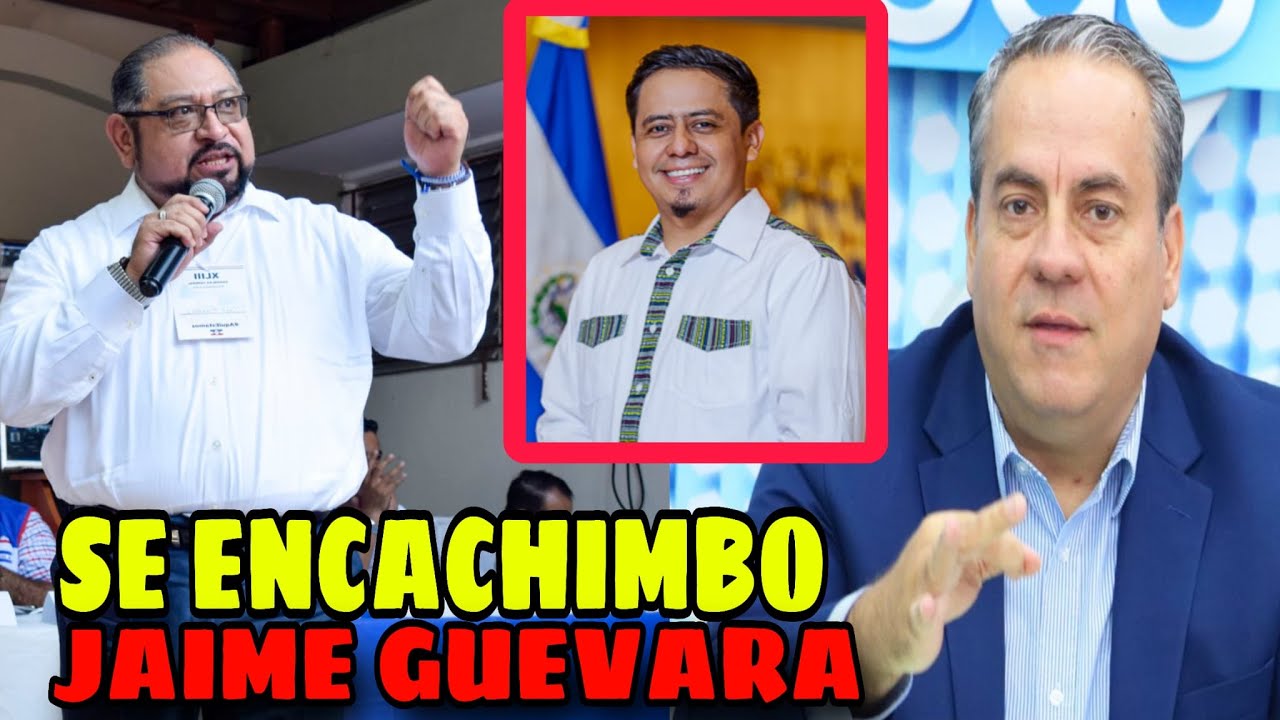 ROMEO AUERBACH SE LE VA CON PATADA AL PECHO A LOS DIPUTADOS+JOEL ...