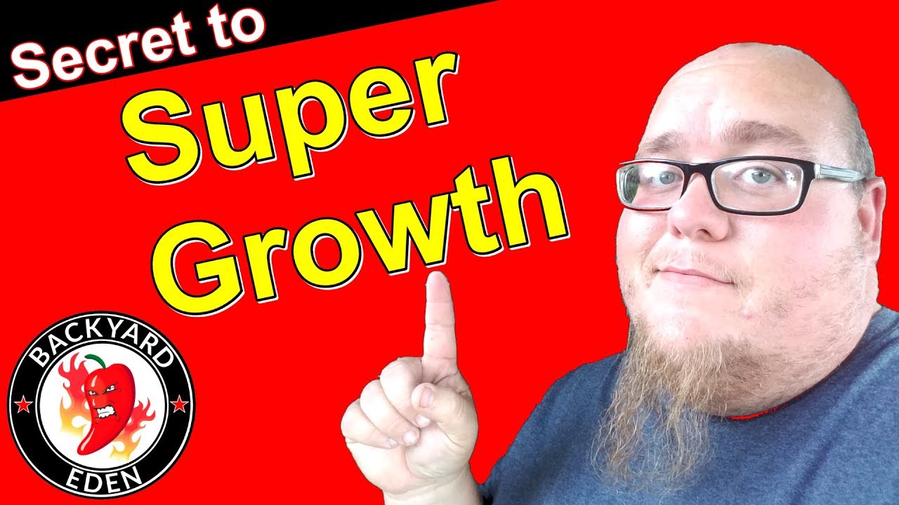 How to fertilize plants - The secret to super growth - YouTube