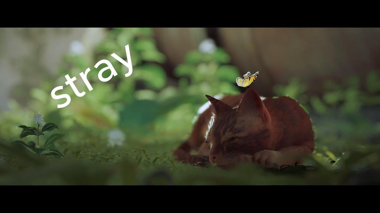 we found b12 (stray episode 1) - YouTube