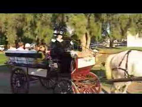 Halloween Wagon Ride by Carriages of San Diego