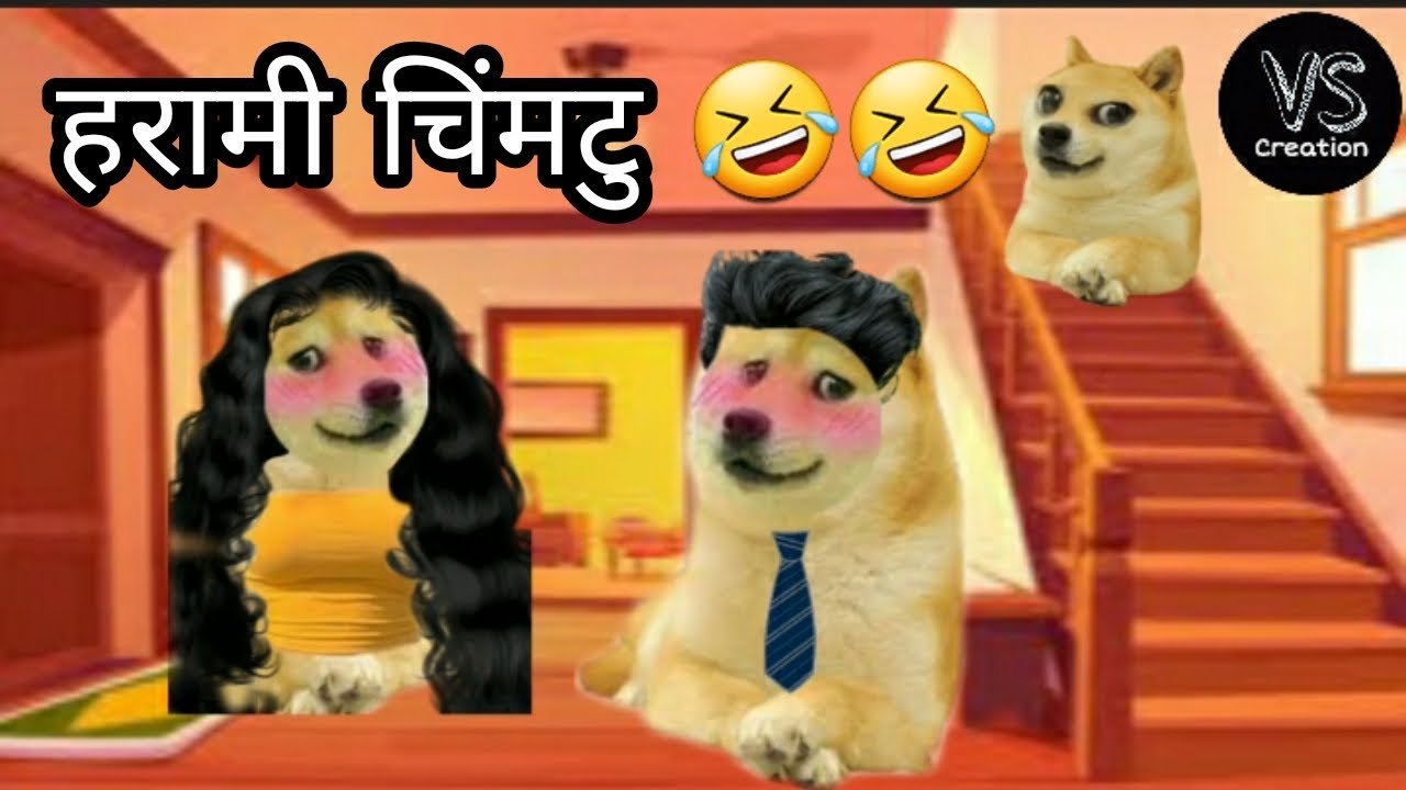 हरामी चिंमटु 🤣🤣 | Doge | Dogesh | Cheems | Dogelina | #dogesh # ...