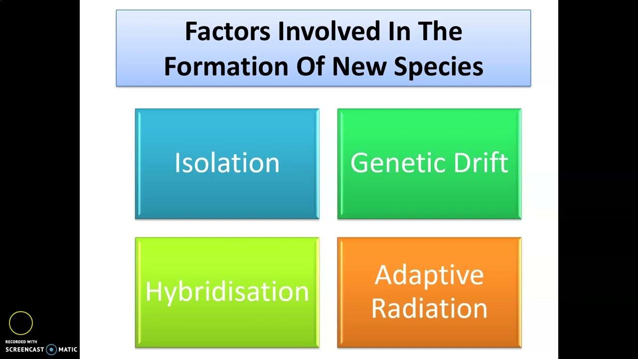 LECTURE CHAPTER 3 SELECTION PART 7 - YouTube