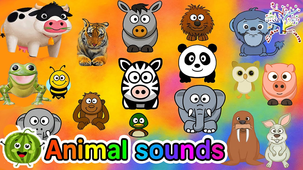 The Animal Sounds Song TA3AG8 These Are The Sounds That The Animals ...