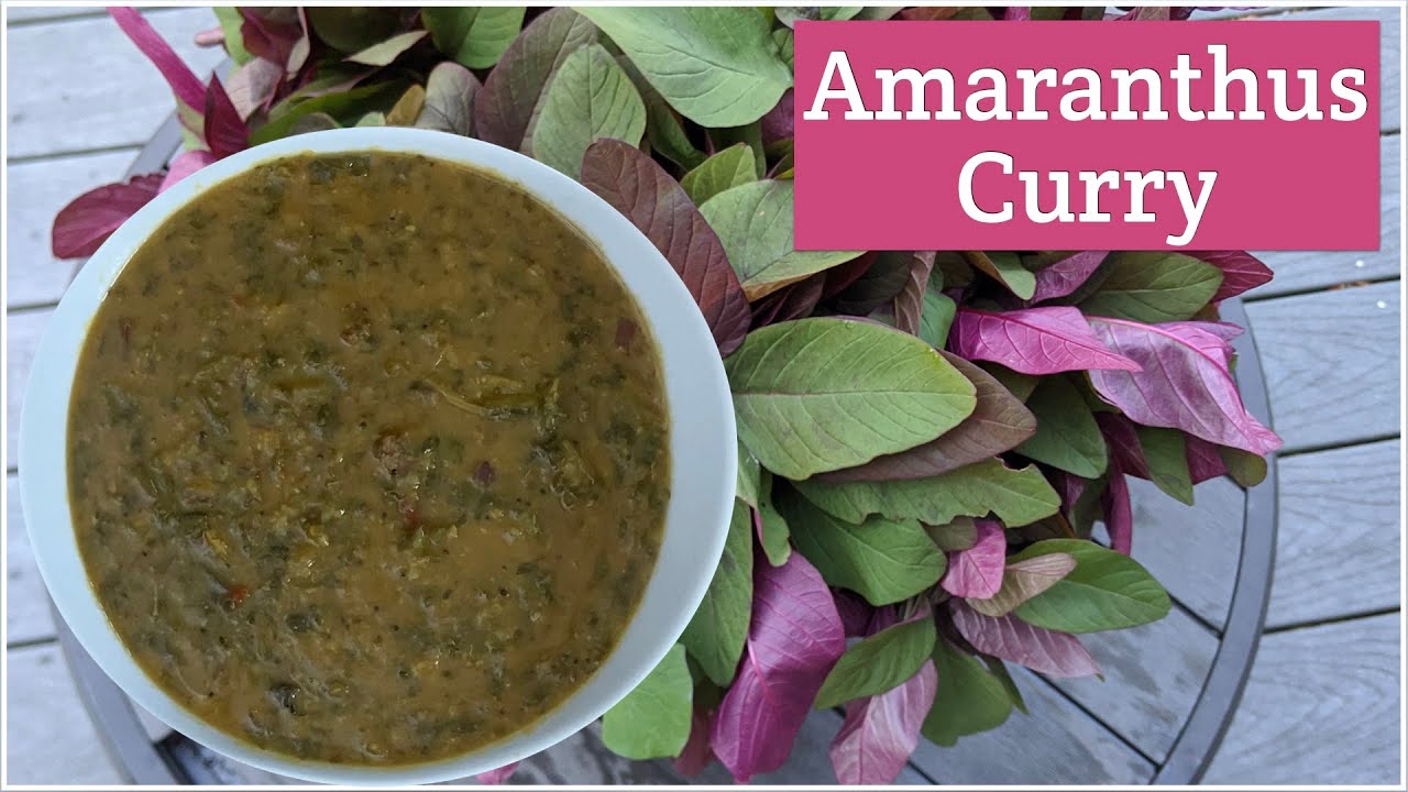 AMARANTHUS CURRY | Red Thotakura Pappu with Green Tomatoes | Healthy ...