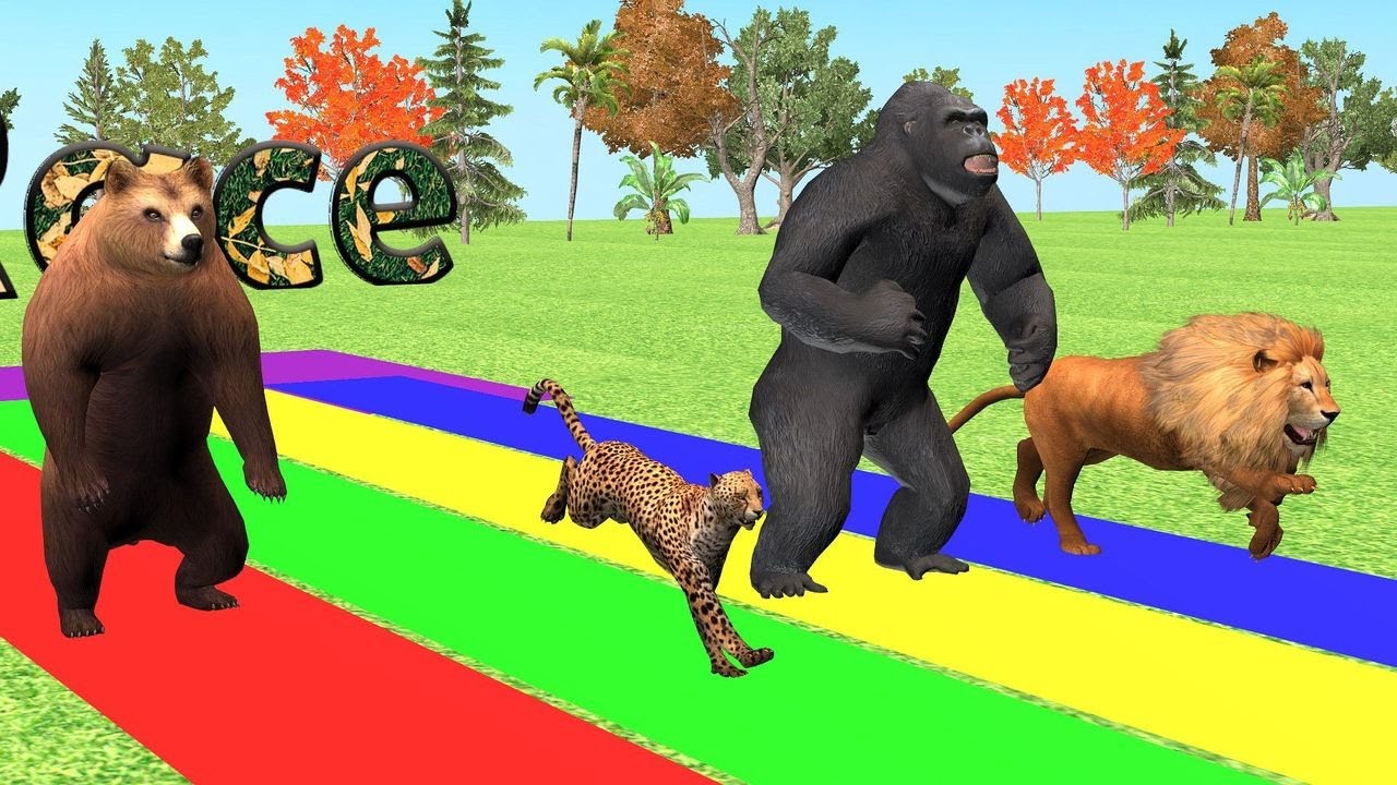Animal Race in Rainy Day, Gorilla, Bear, Lion, Cheetah, Horse - YouTube