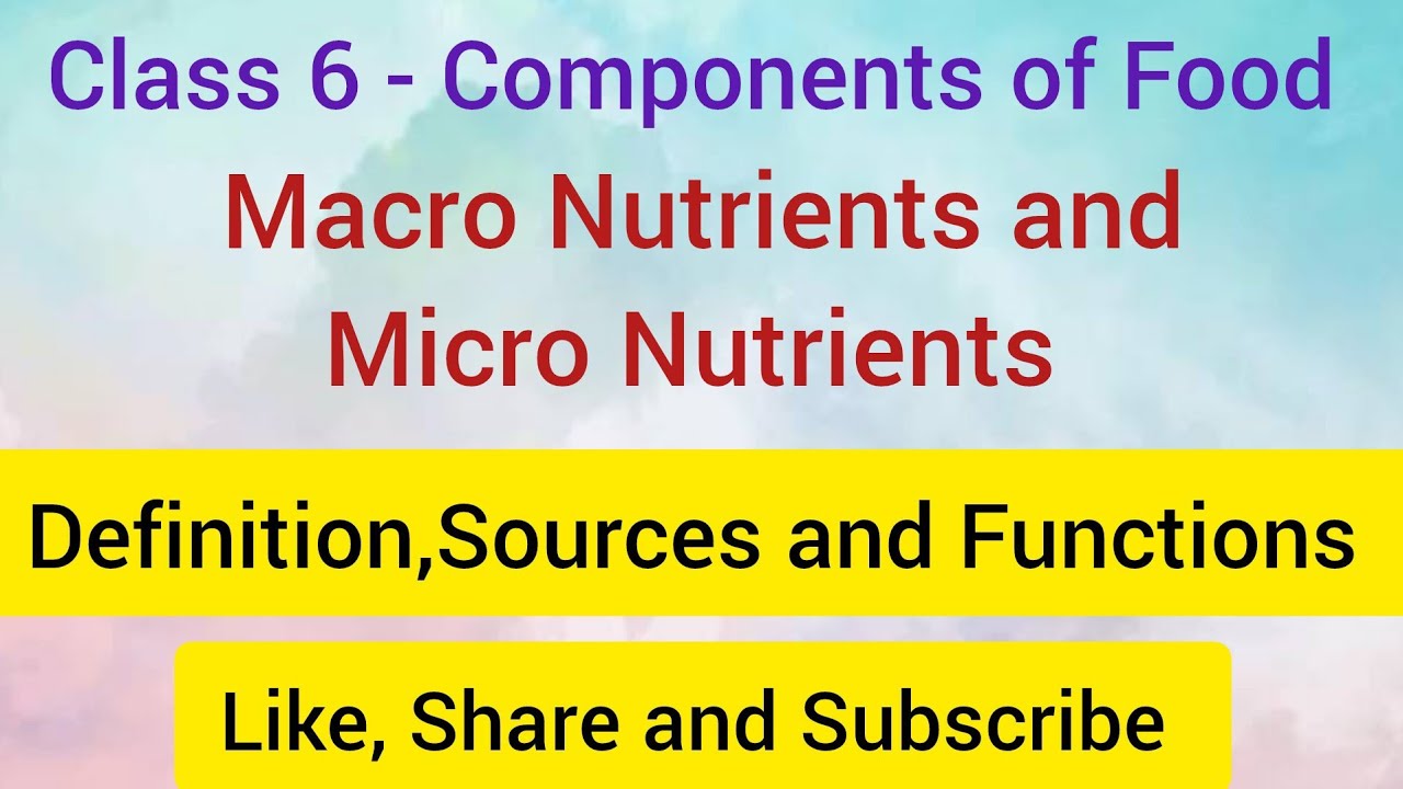 Class 6 - Components of Food - Definition,Sources and Functions - YouTube