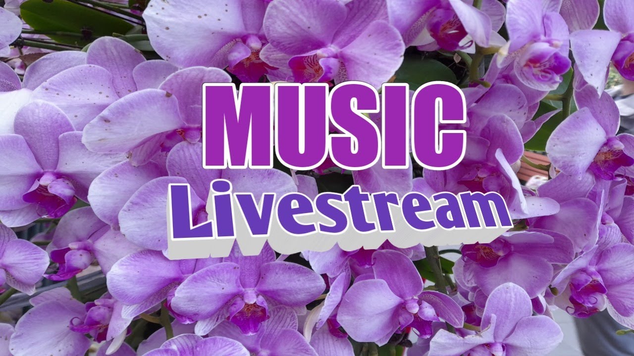HAPPY SATURDAY/MUSIC LIVESTREAM - YouTube