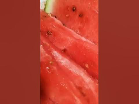 А вы знали?🤨 Самый маленький арбуз "мексиканский мелотрия" размером ...