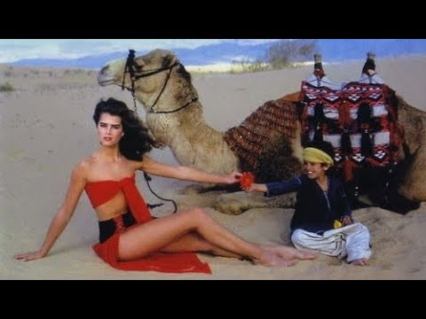 sahara (1983) ␚