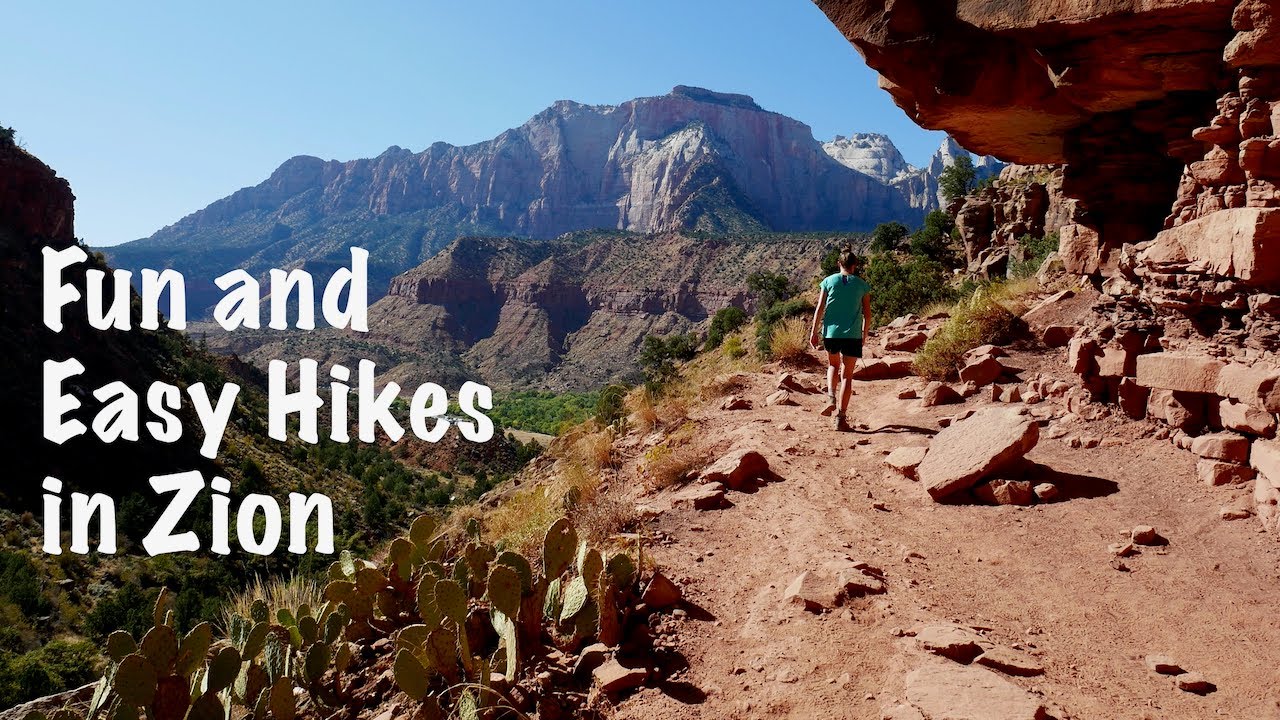 Some of The Best EASY Hikes in Zion! | The Watchman & Canyon Overlook ...