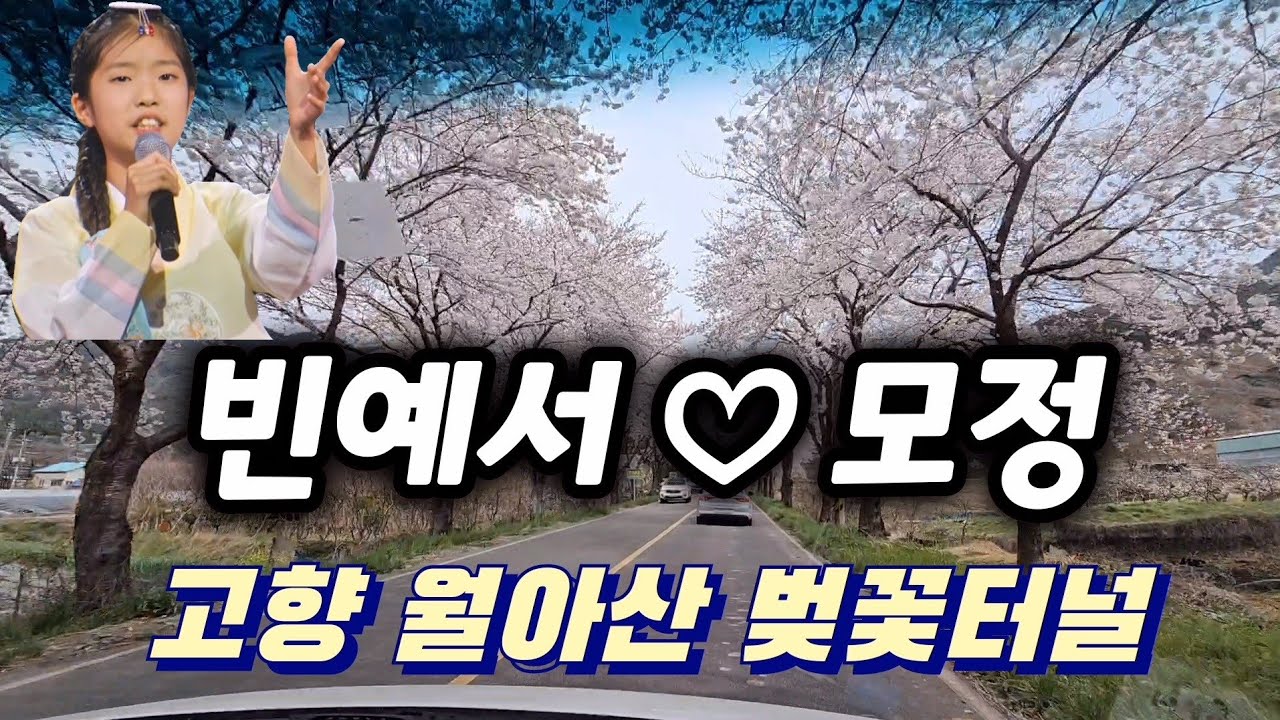 빈예서♡모정 들으며 고향 진주 월아산 벚꽃터널 달려보자 Youtube