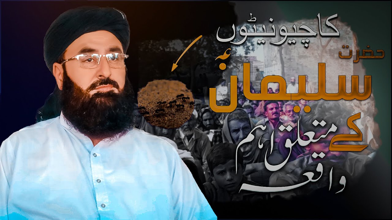Hazrat Sulaiman's important incident regarding the Cheonites | Maulana ...