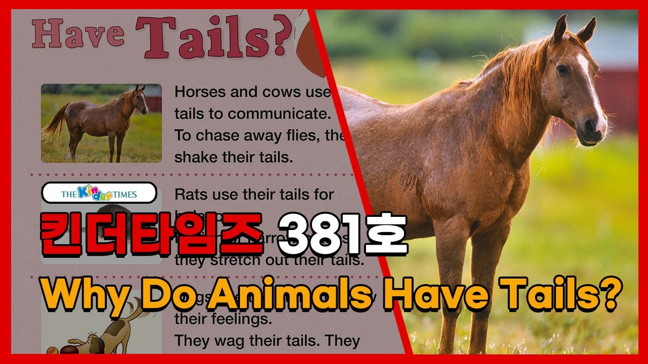 [ 킨더타임즈 The Kinder Times 381호 Wonderful Animals ] Why Do Animals Have ...