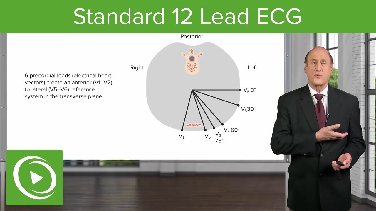 Standard 12 Lead ECG - Cardiology | Lecturio - YouTube