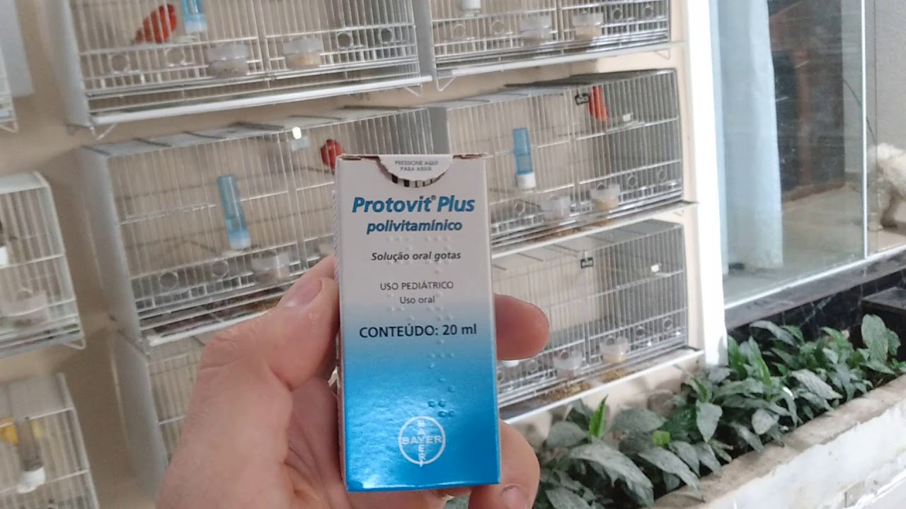 Protovit Plus Polivitamínico Para Reprodução do Canário Belga | CANARIL ...
