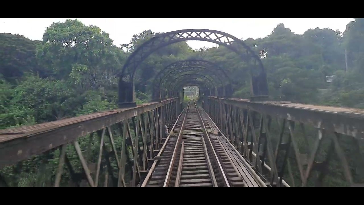 On Devil's Bridge Peradeniya, Sri Lanka - YouTube