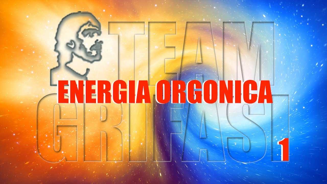 1162-IT Eva 162° Ciclo investigativo 1° Prot: ENERGIA ORGONICA - Irene ...