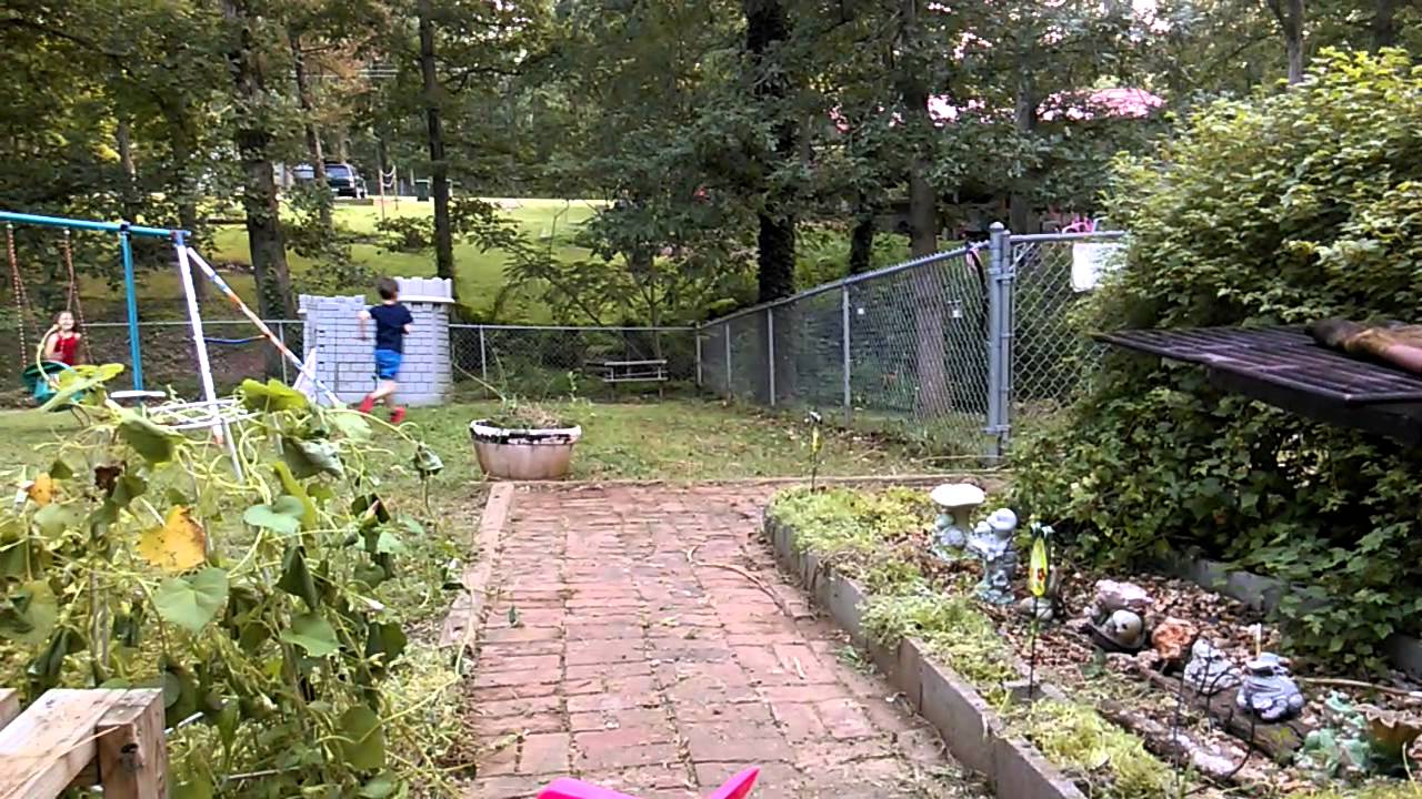 Random outside videos - YouTube