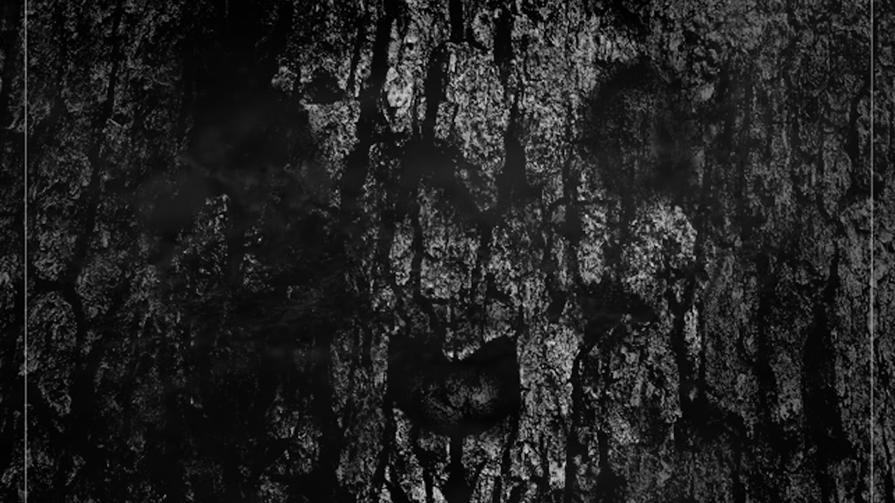 The Woken Trees | Orders - YouTube