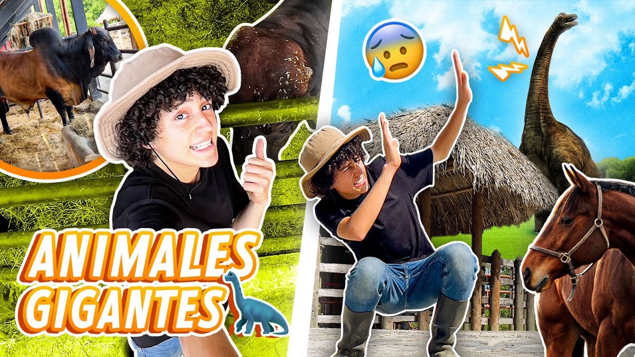 ¡ANIMALES GRANDES! 😱 | La Granja del Borrego - YouTube