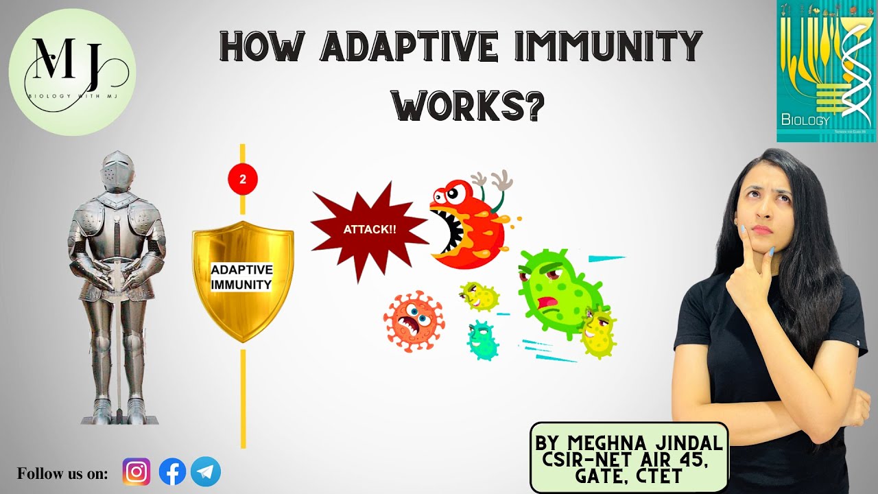 How Adaptive Immunity Works? | Human Health and Disease | Class 12 ...
