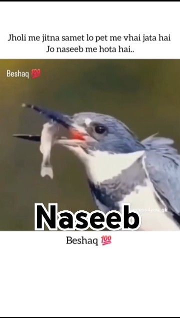 Beshaq#youtubeshorts #shortsvideo #shorts #trending - YouTube