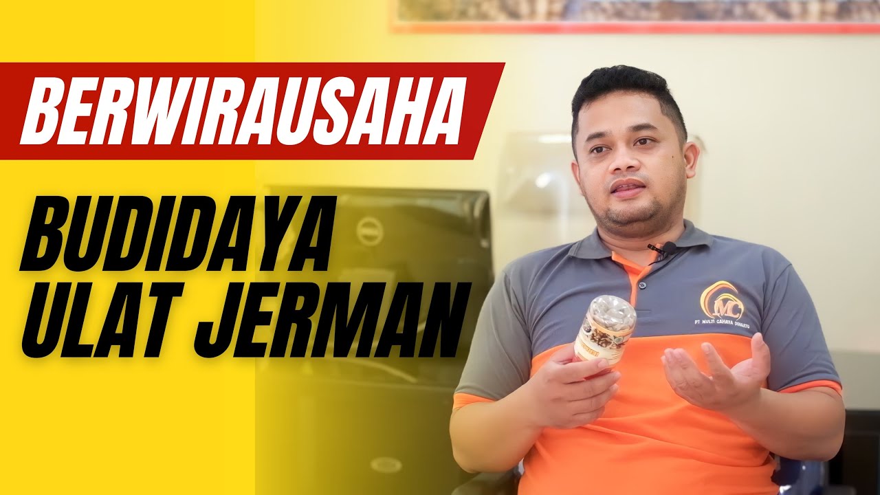 BUDIDAYA ULAT JERMAN , WIRSAUSAHA ,PENGEPUL ULAT JERMAN SE INDONESIA ...