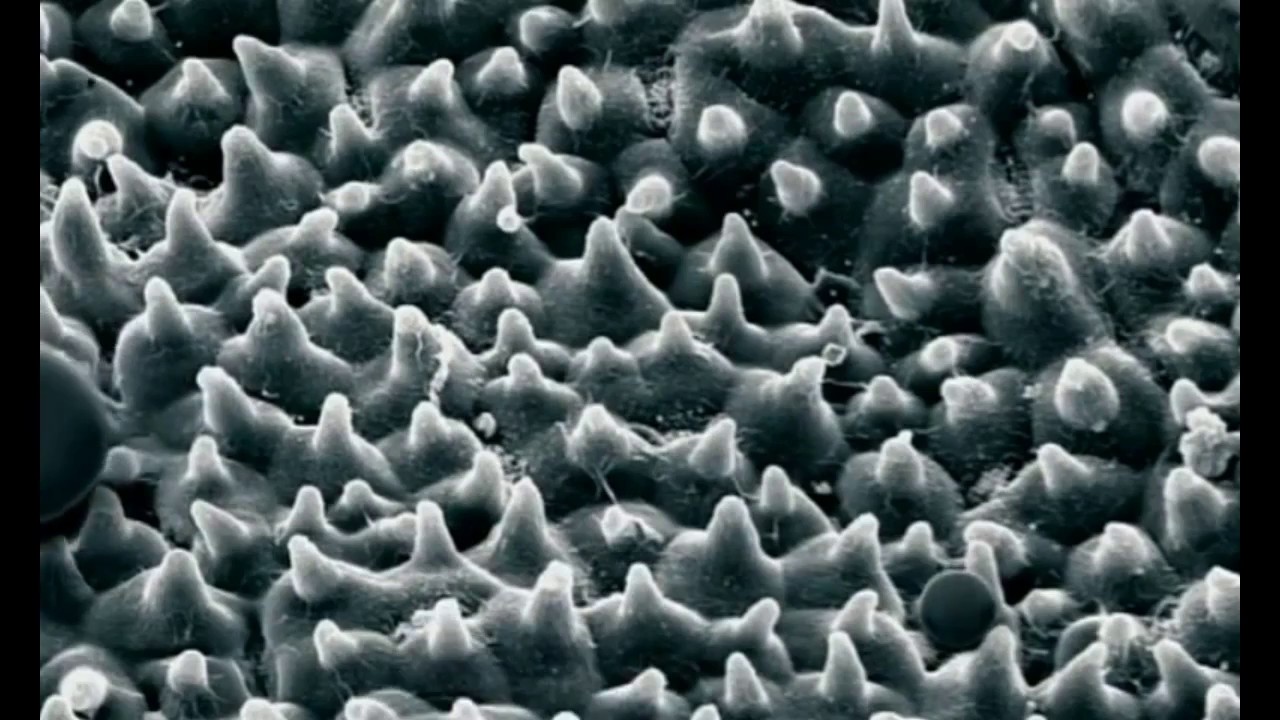 Nanotex Fabrics / INFORMATIVE VIDEO - YouTube