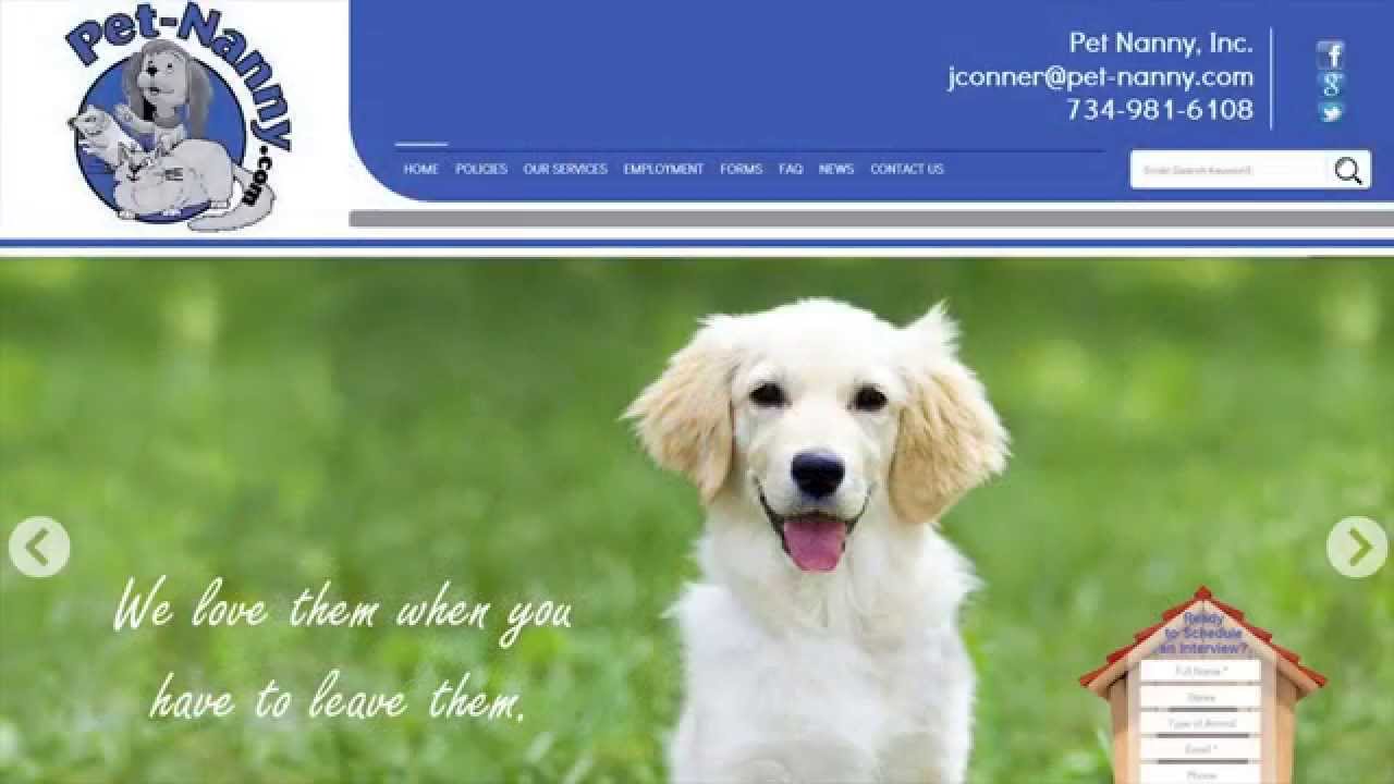 Pet Nanny | Professional Pet Sitting and Dog Walking Service - YouTube