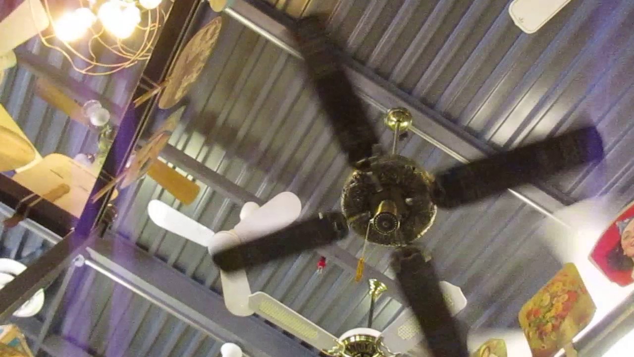 Progrees Lighting Apollo ceiling fan - YouTube
