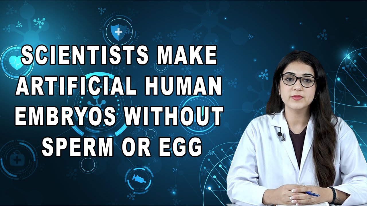 Scientists make artificial human embryos without sperm or egg - YouTube