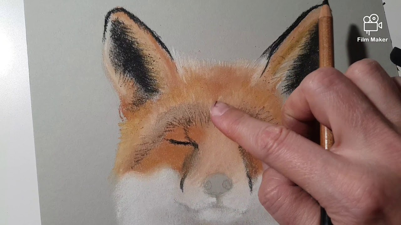 Kresba pastelem - liška / Drawing with pastels - fox - YouTube