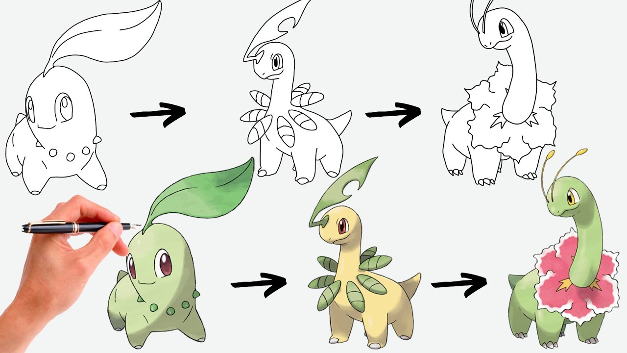 Cómo dibujar CHIKORITA BAYLEEF y MEGANIUM POKEMON | Pokemon Evolution ...