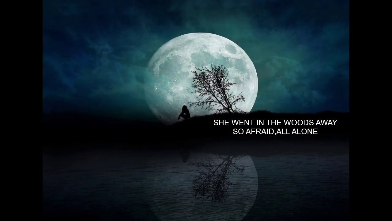 Alan walker,k-391 &Emelie hollow -Lily song (Lyrics) - YouTube