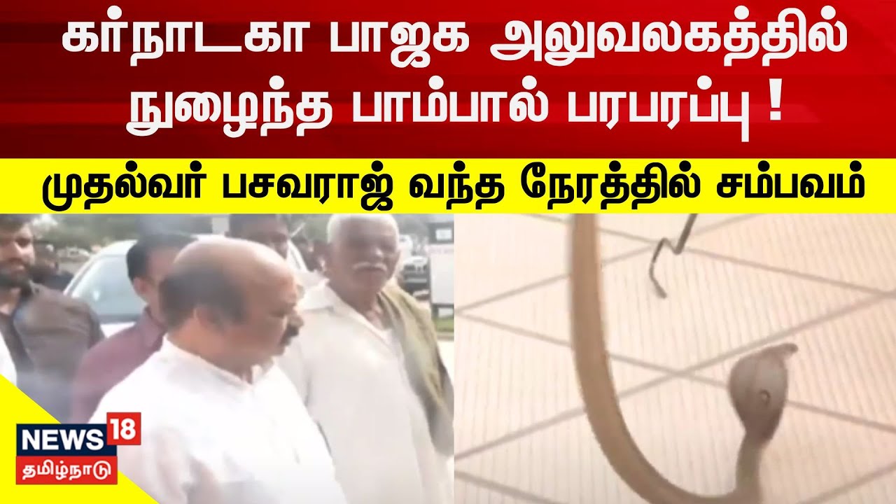 Snake Found Inside BJP Office | கர்நாடகாவில் பாஜக அலுவலகத்தில் நுழைந்த பாம்பால் பரபரப்பு ! - YouTube
