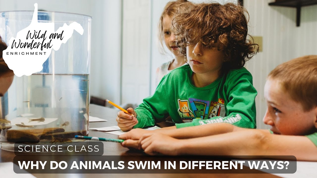 Back to Class and Exploring the Wonders of Animal Movement - YouTube