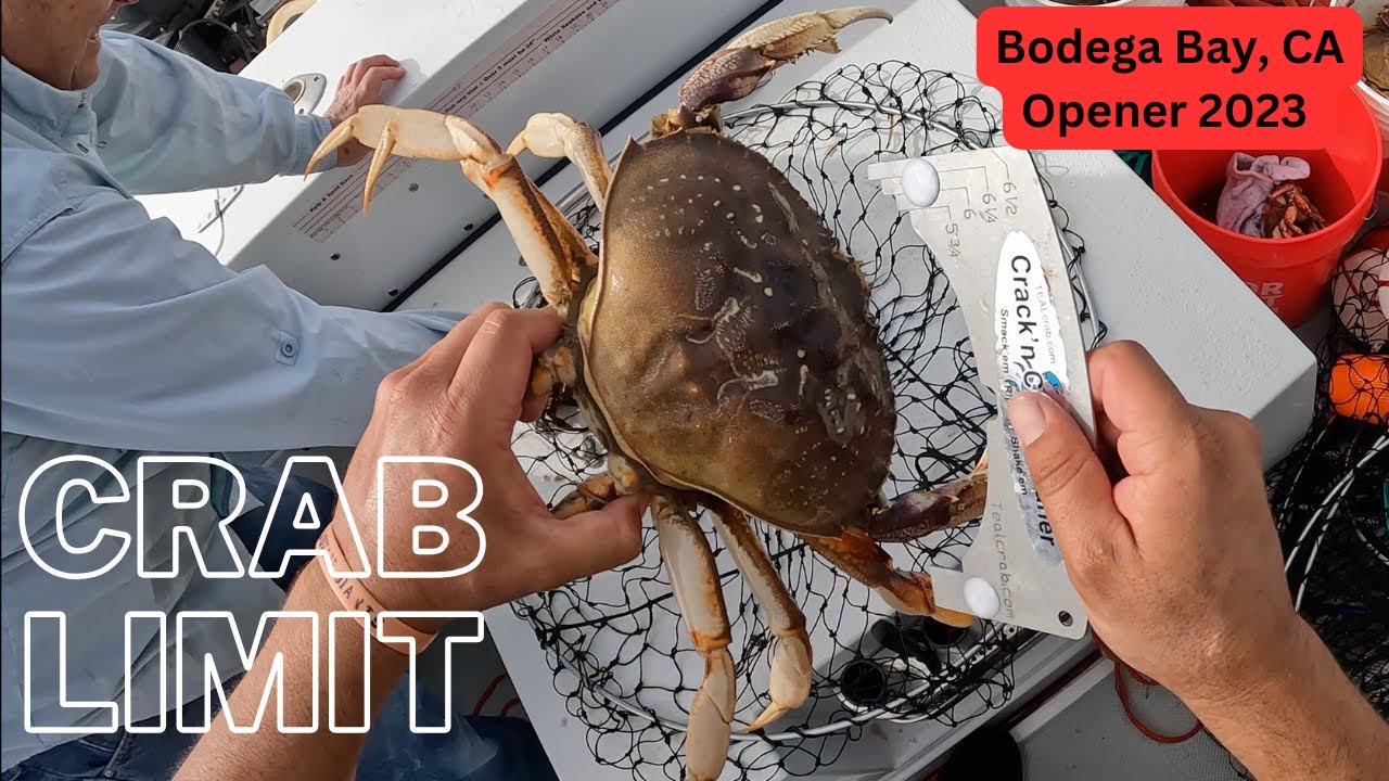 Crab opening day 2023 | How to measure crab 🦀 *No engine? No problem ...