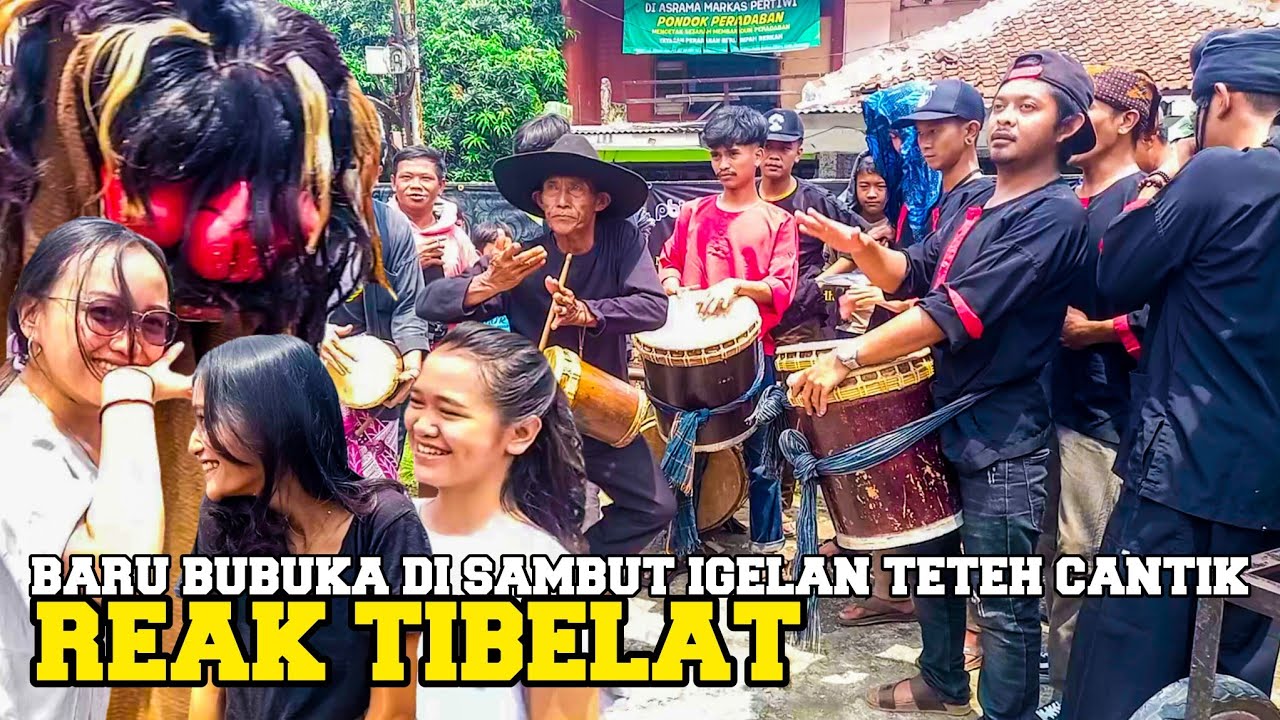 REAK TIBELAT BARU BUBUKA LANGSUNG DI SAMBUT IGELAN TETEH CANTIK - YouTube