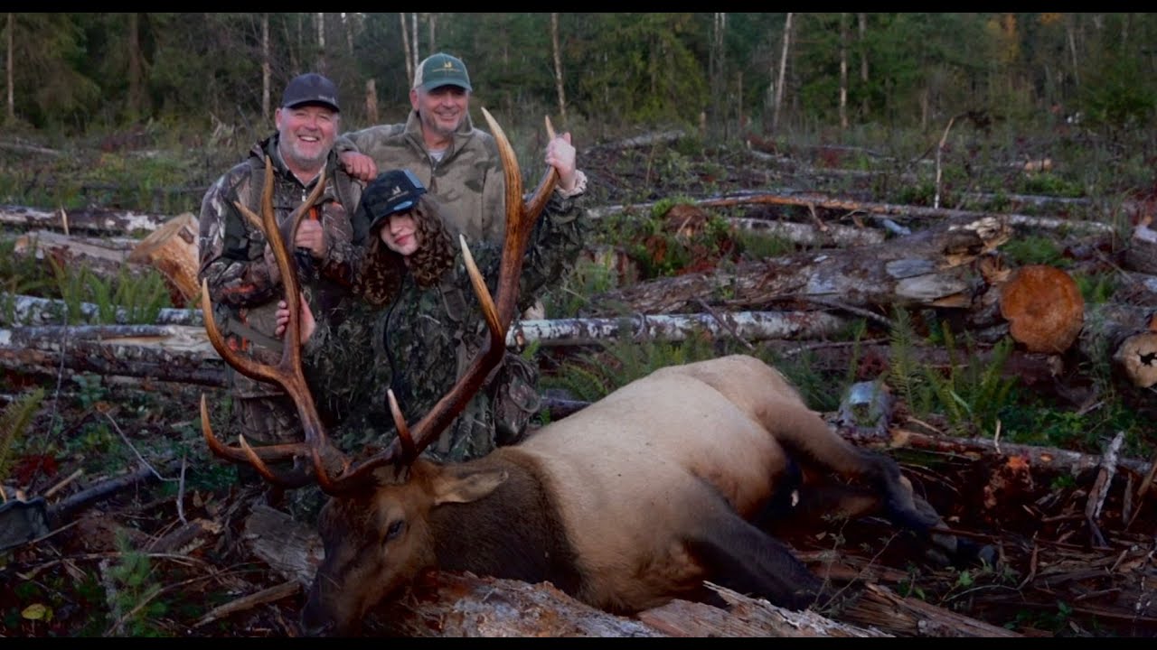 Roosevelt Elk Hunt 2023 Vancouver Island, Teen Huntress Bullseye! - YouTube