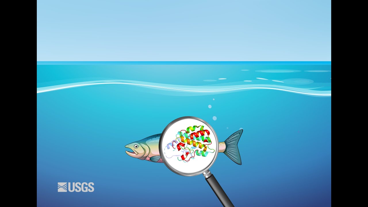 Exploring Enzymes in Fish to Accelerate Conservation - YouTube