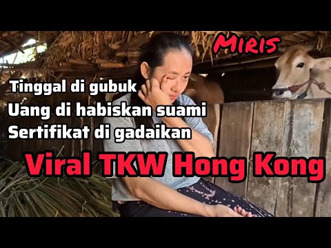 TKW Hong Kong di tipu suaminya semua uang di habiskan & sertifikat di gadaikan