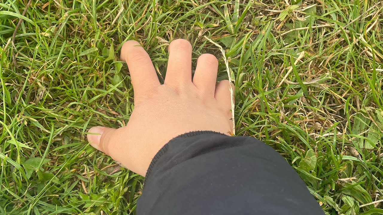 Me, touching grass for the 173948286438th time: - YouTube