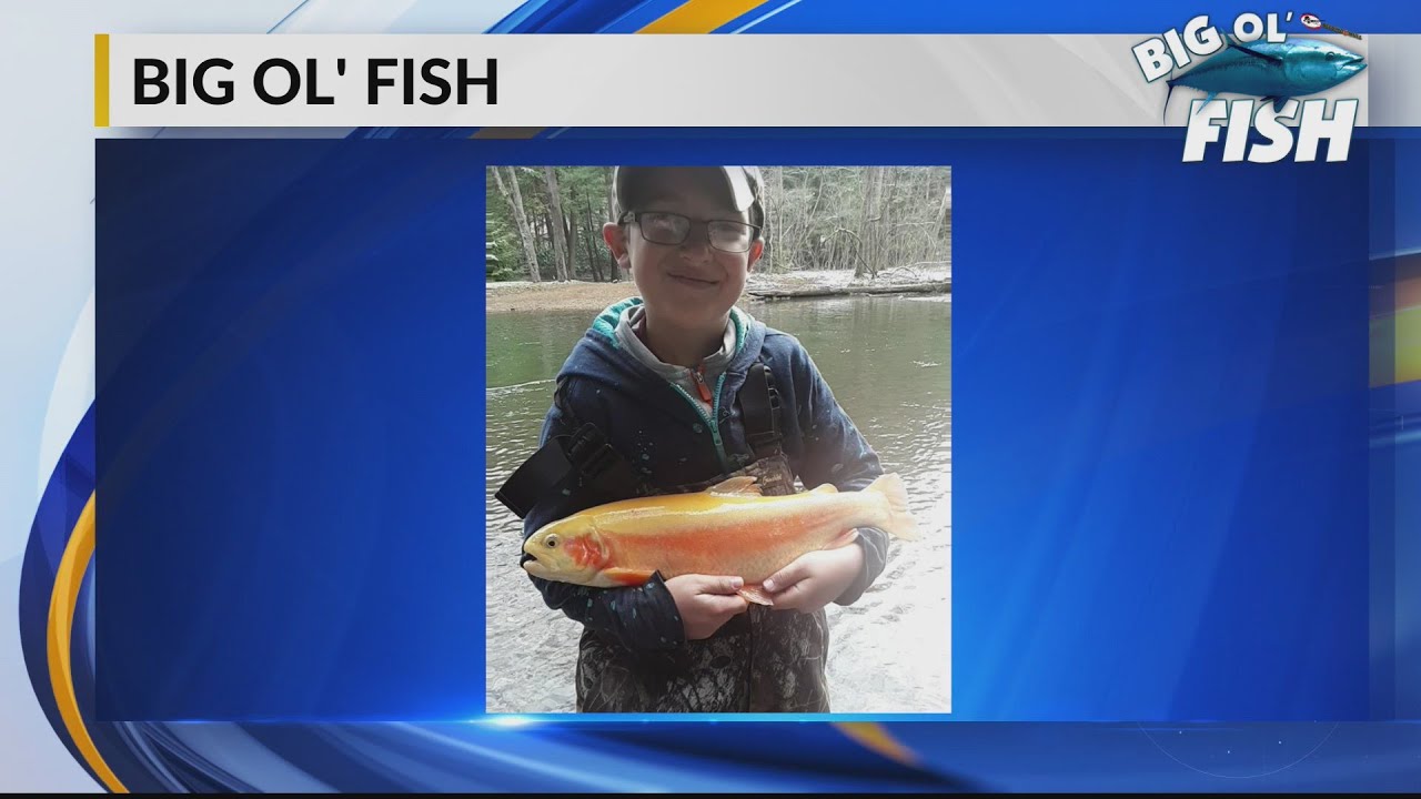 Big Ol Fish, Thursday June 11th - YouTube