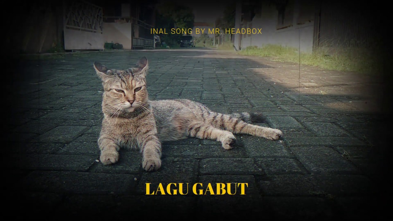 Lagu Gabut (Original Song By Mr. Headbox) - YouTube