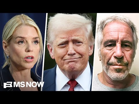 Trump got rid of Bondi because 'she was about to be deposed' in Epstein case: Dem Rep.