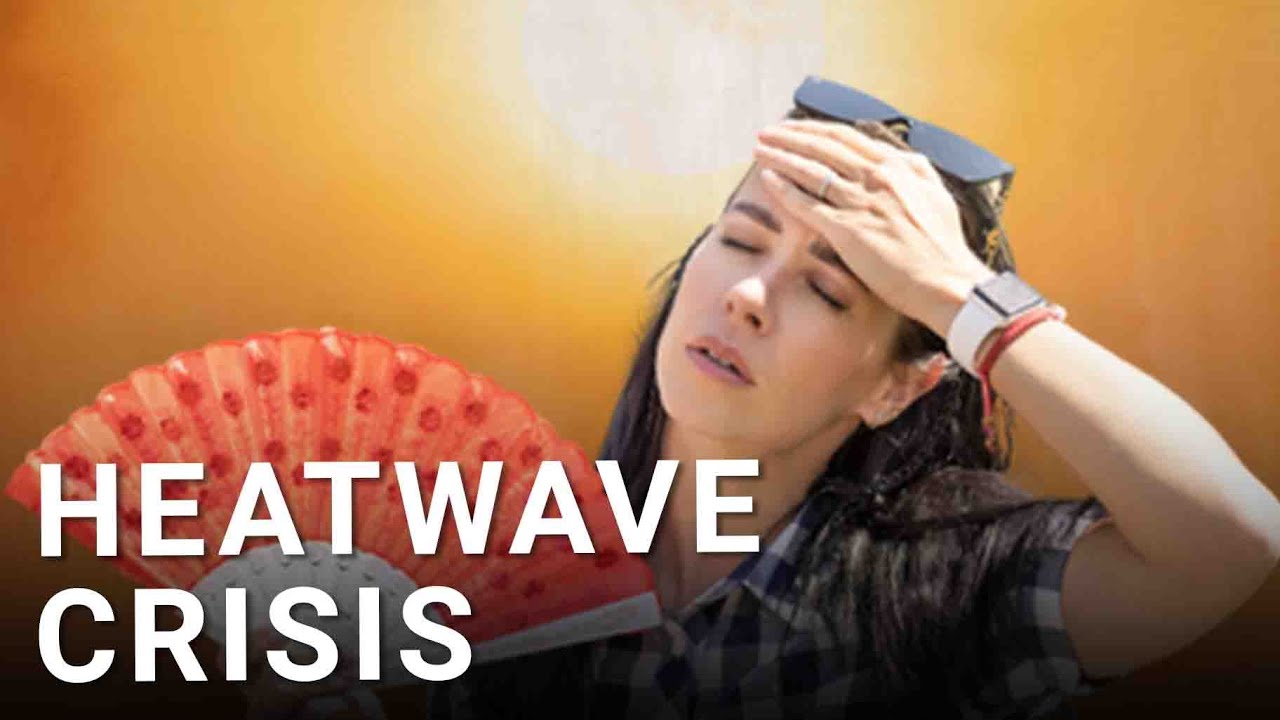 'We must drastically reduce emission over next decade to tackle heatwave problem' | Jofre ...