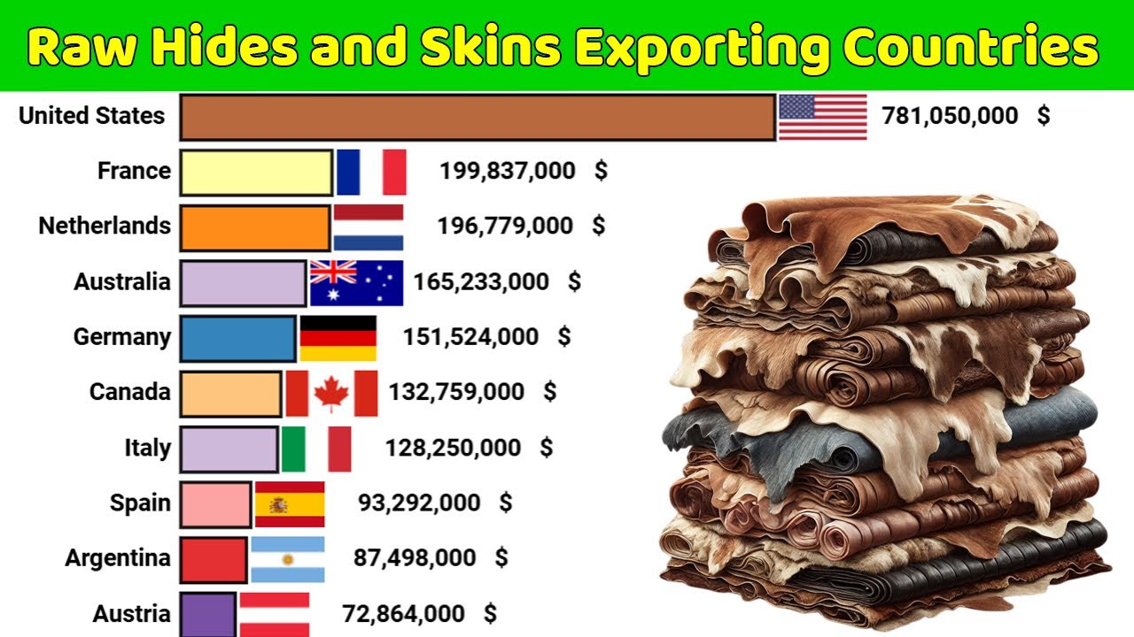 Raw Hides and Skins Exporting Countries in the World - YouTube