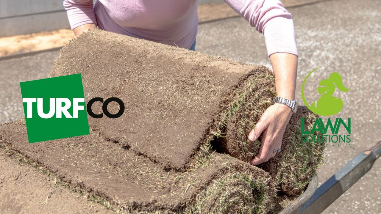 How to Install Turf | Laying a New Lawn | with Joe Rogers - YouTube