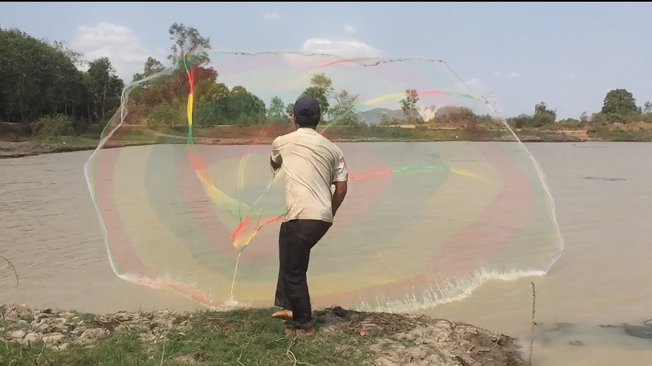 Rainbow Net Catch Fishing Video | Lake Fishing By Color net Catching ...